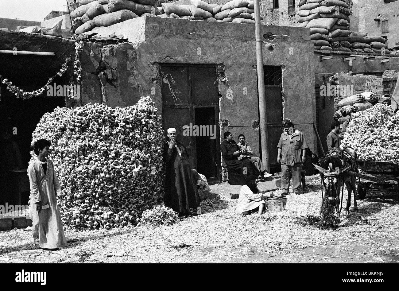 Egypt workers hi-res stock photography and images - Alamy