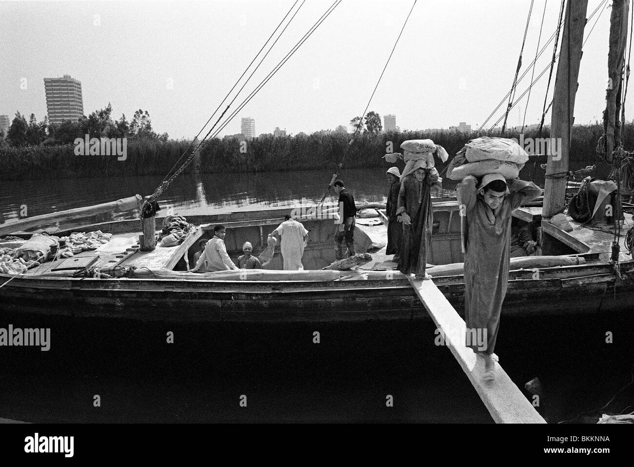 Labourer's unload cement bags from a Nile barge in the Giza district of ...