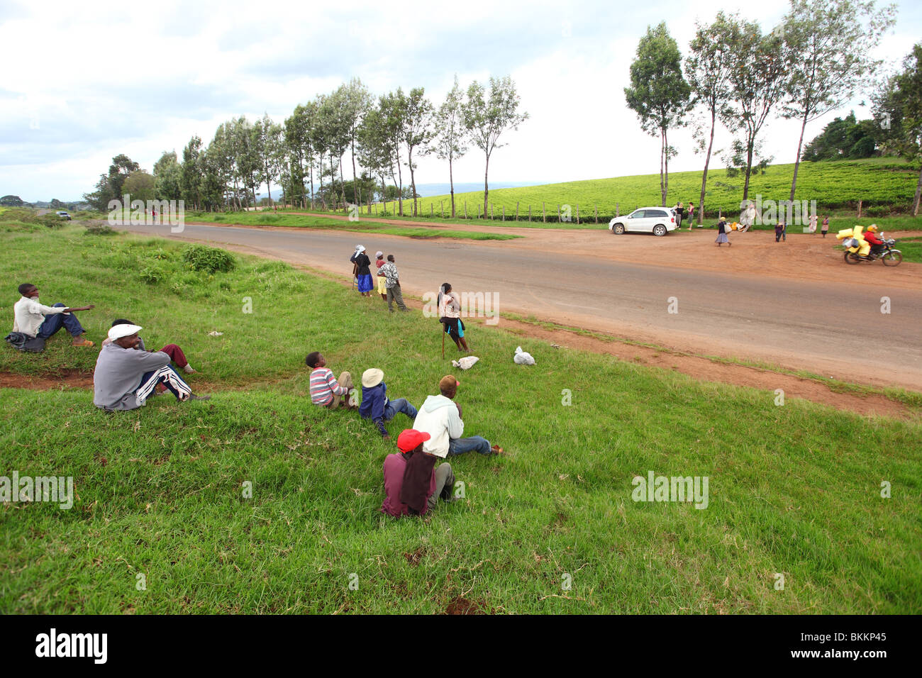 Kenya tea workers hi-res stock photography and images - Alamy