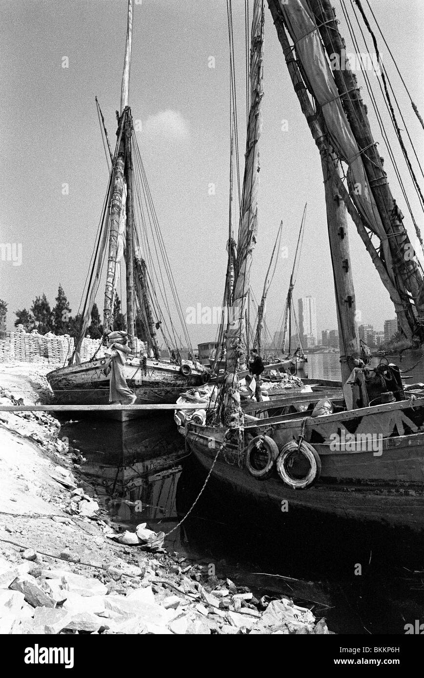 Workers unload cement bags from a Nile barge in the Giza district of ...