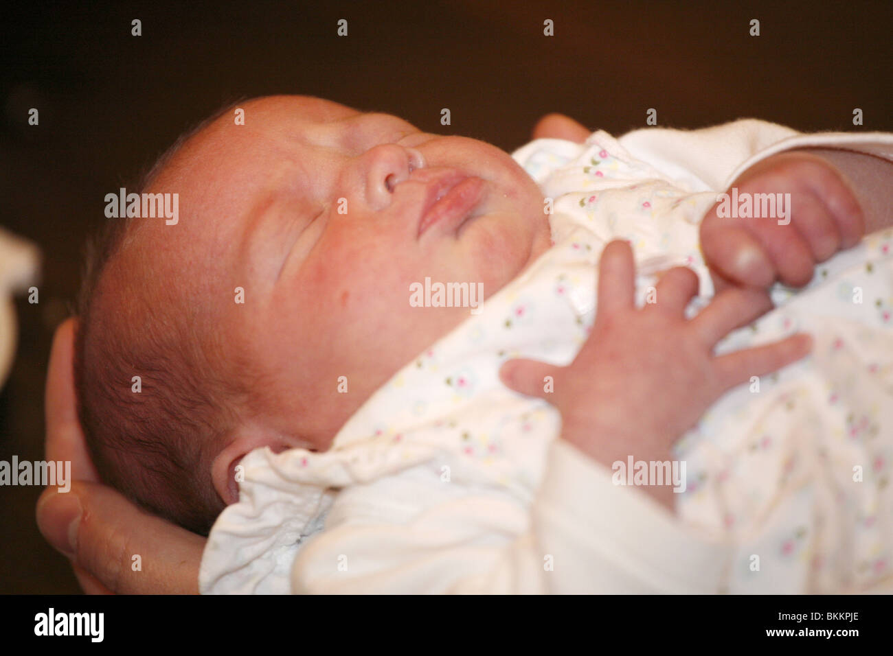 Two week old baby Stock Photo - Alamy