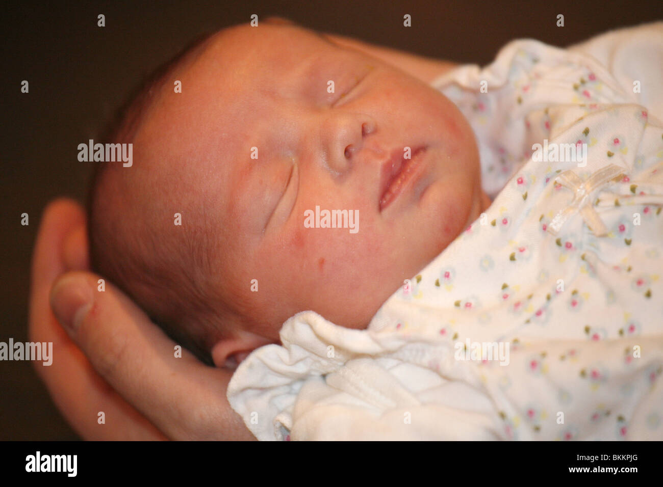 Two week old baby Stock Photo - Alamy