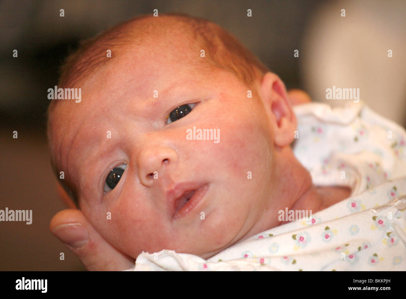 Two week old baby Stock Photo - Alamy