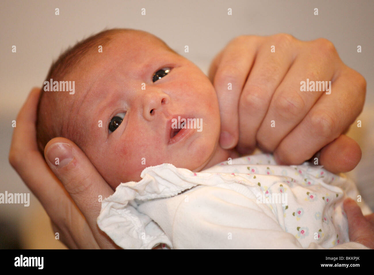Two week old baby Stock Photo - Alamy