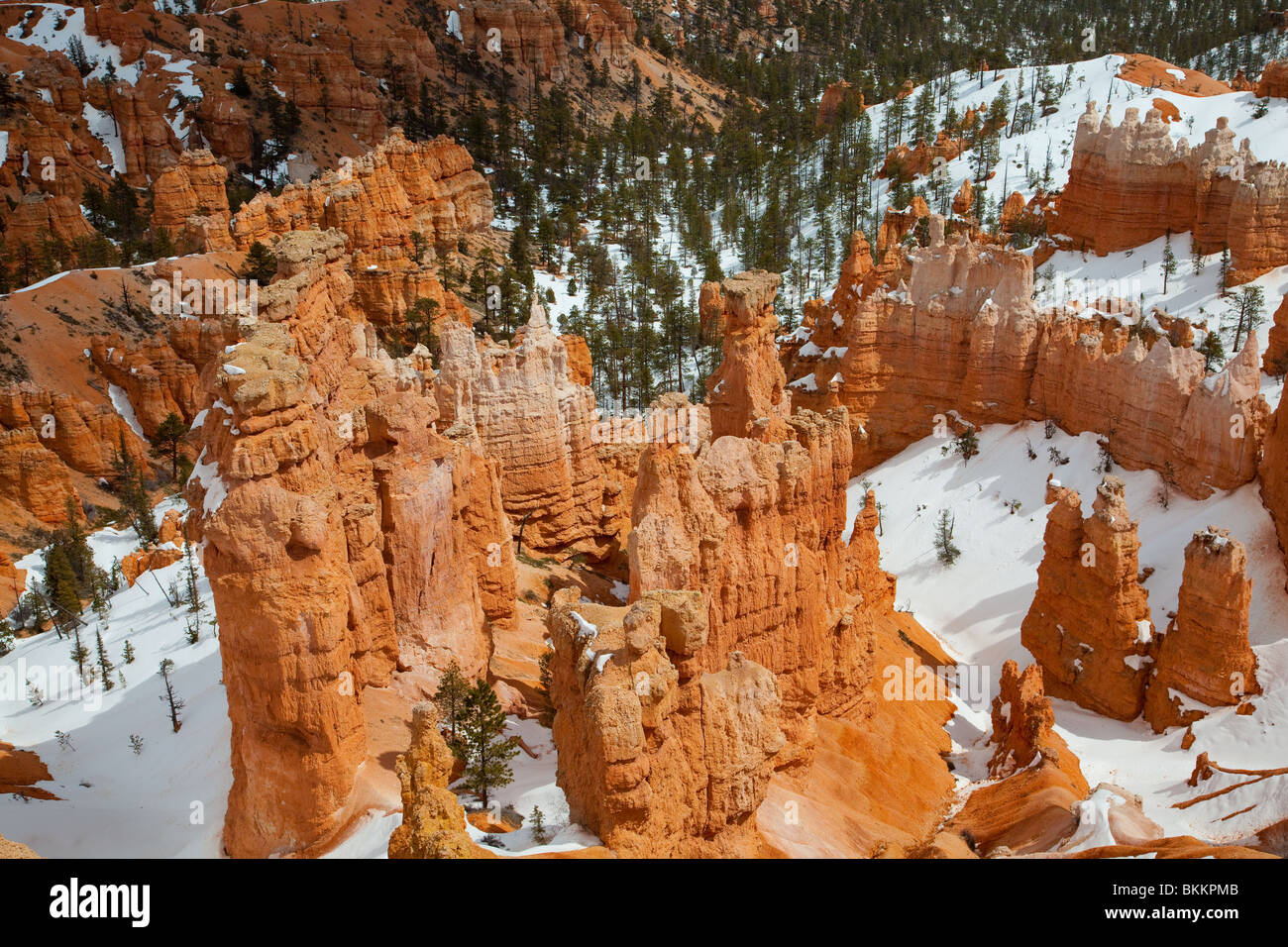 Snow covers the groud surrounding the strange rock formations at Bryce ...