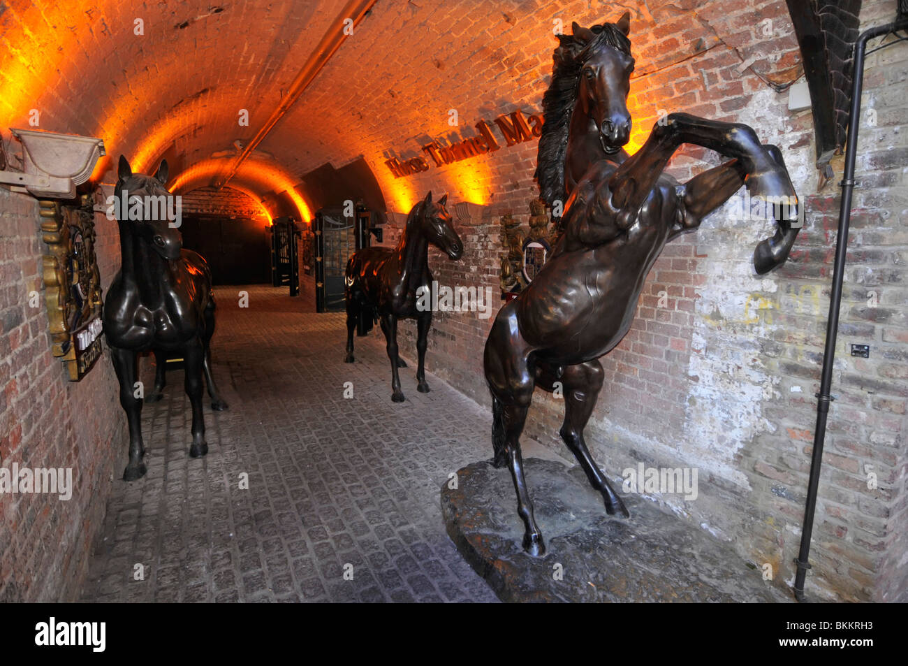 Horse tunnel market hi-res stock photography and images - Alamy