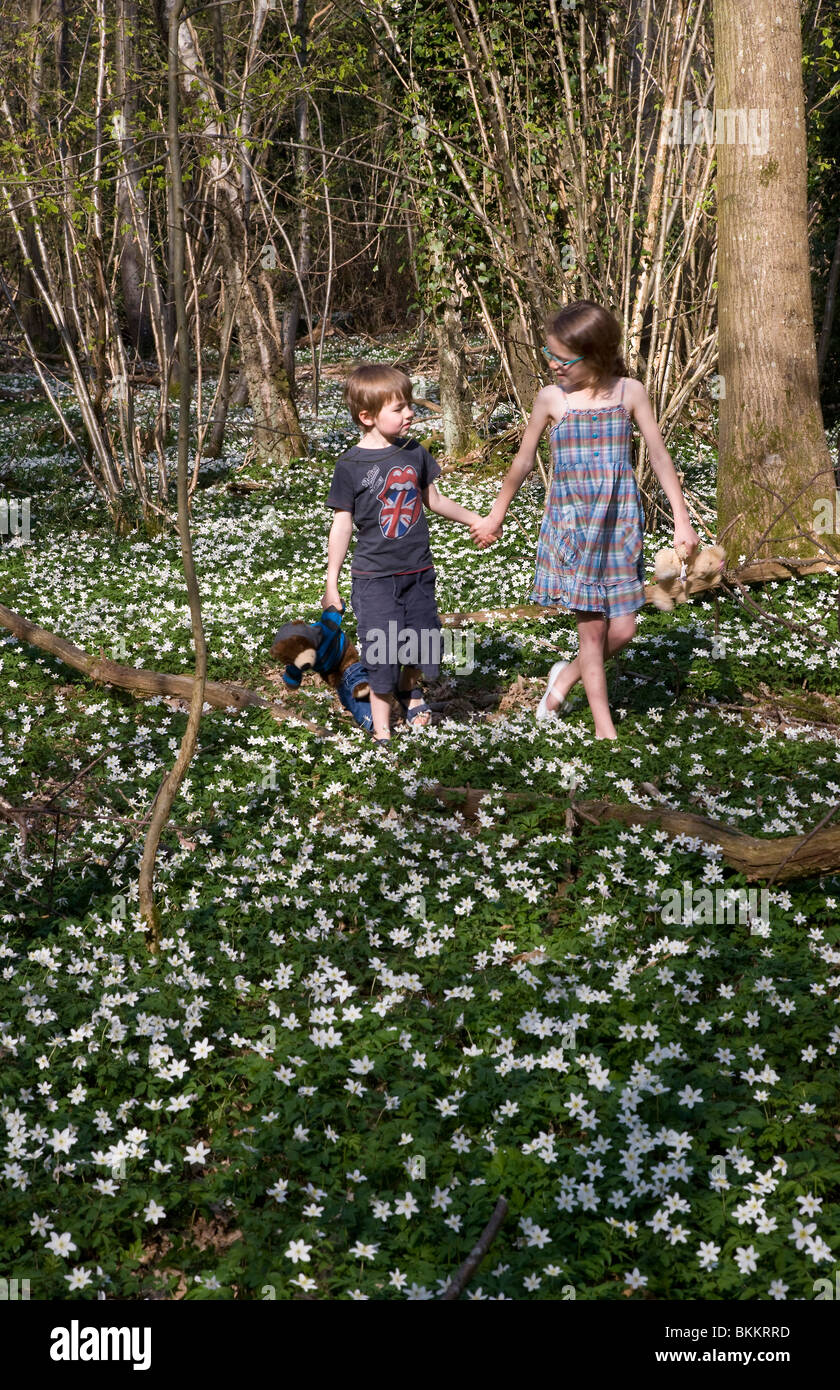 Children exploring forest uk hi-res stock photography and images - Alamy
