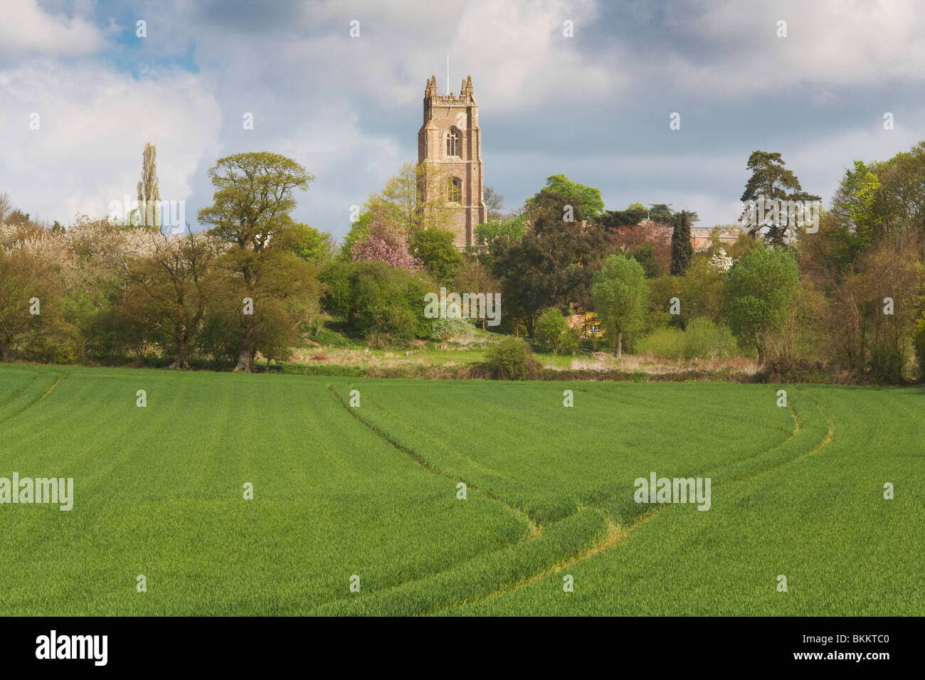 Great Britain England Suffolk Stoke by Nayland Church of St Mary ...