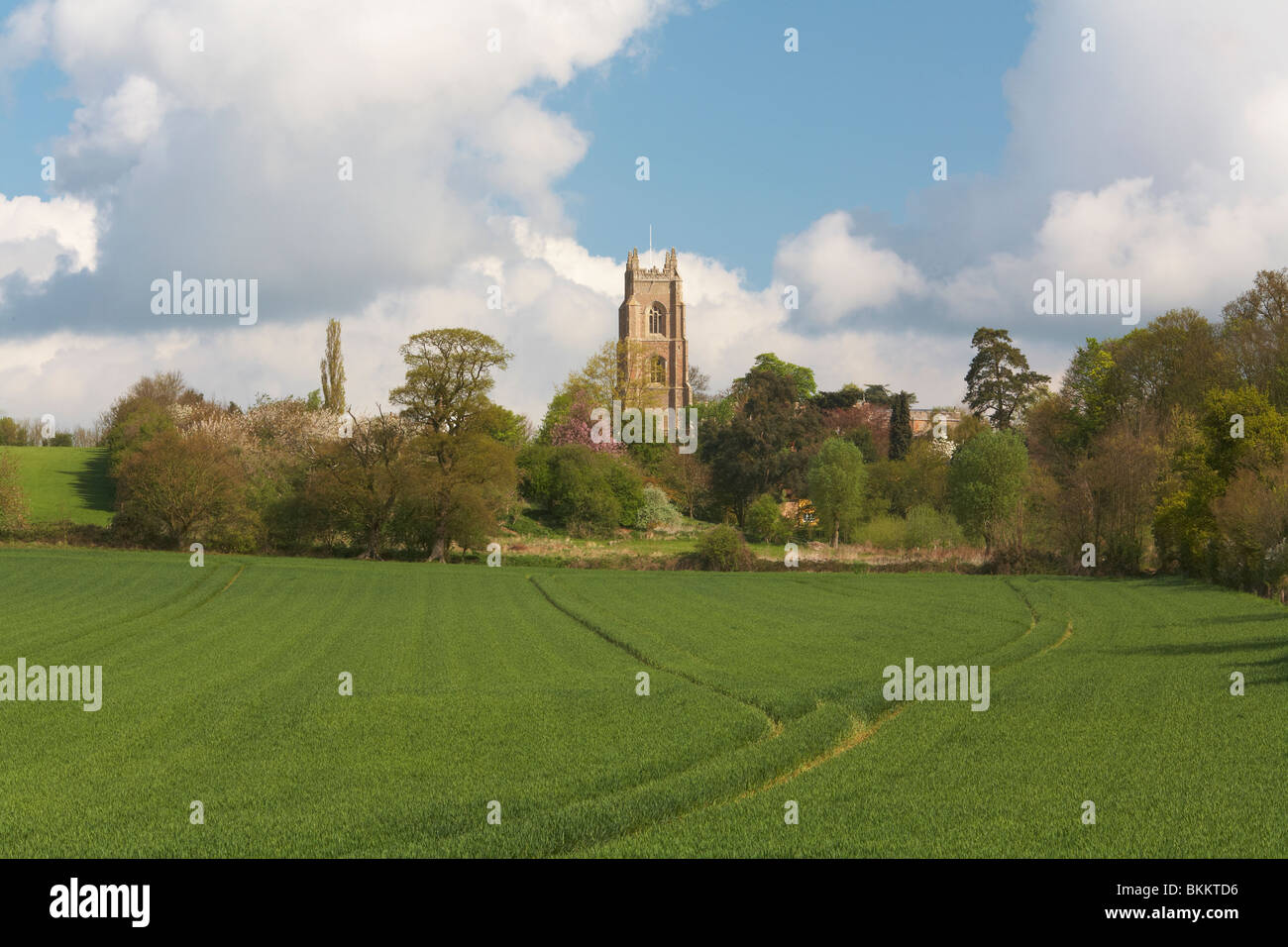 Great Britain England Suffolk Stoke by Nayland Church of St Mary ...