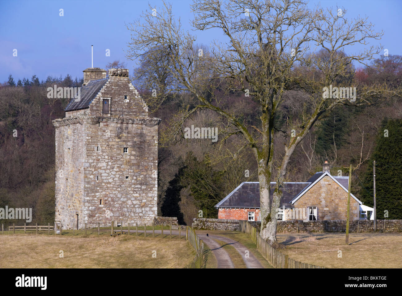 Canonbie hi-res stock photography and images - Alamy