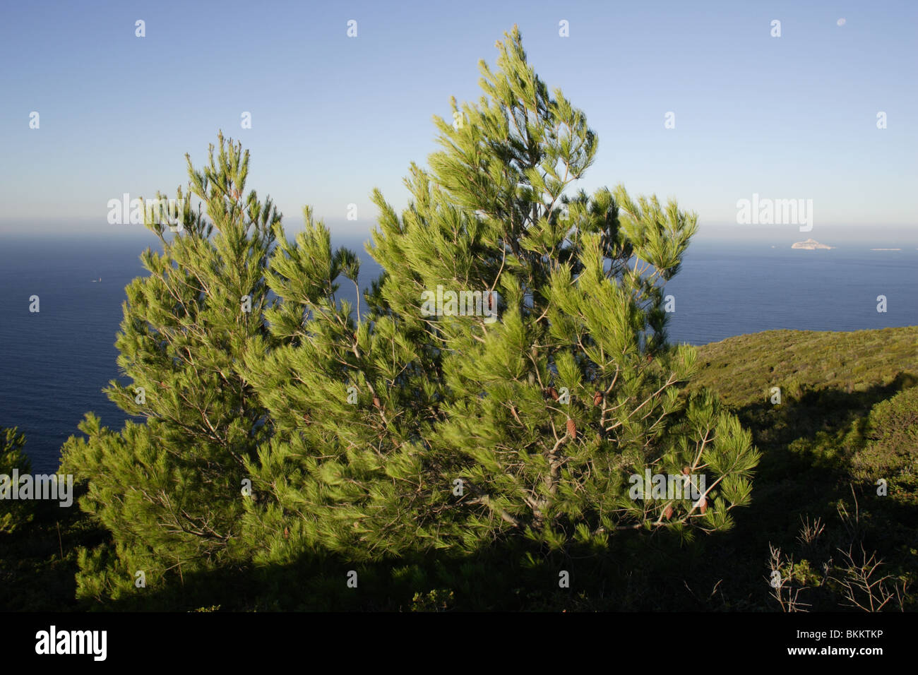 rockies inlet marseille cassis sea mediterranean provence france coast ...