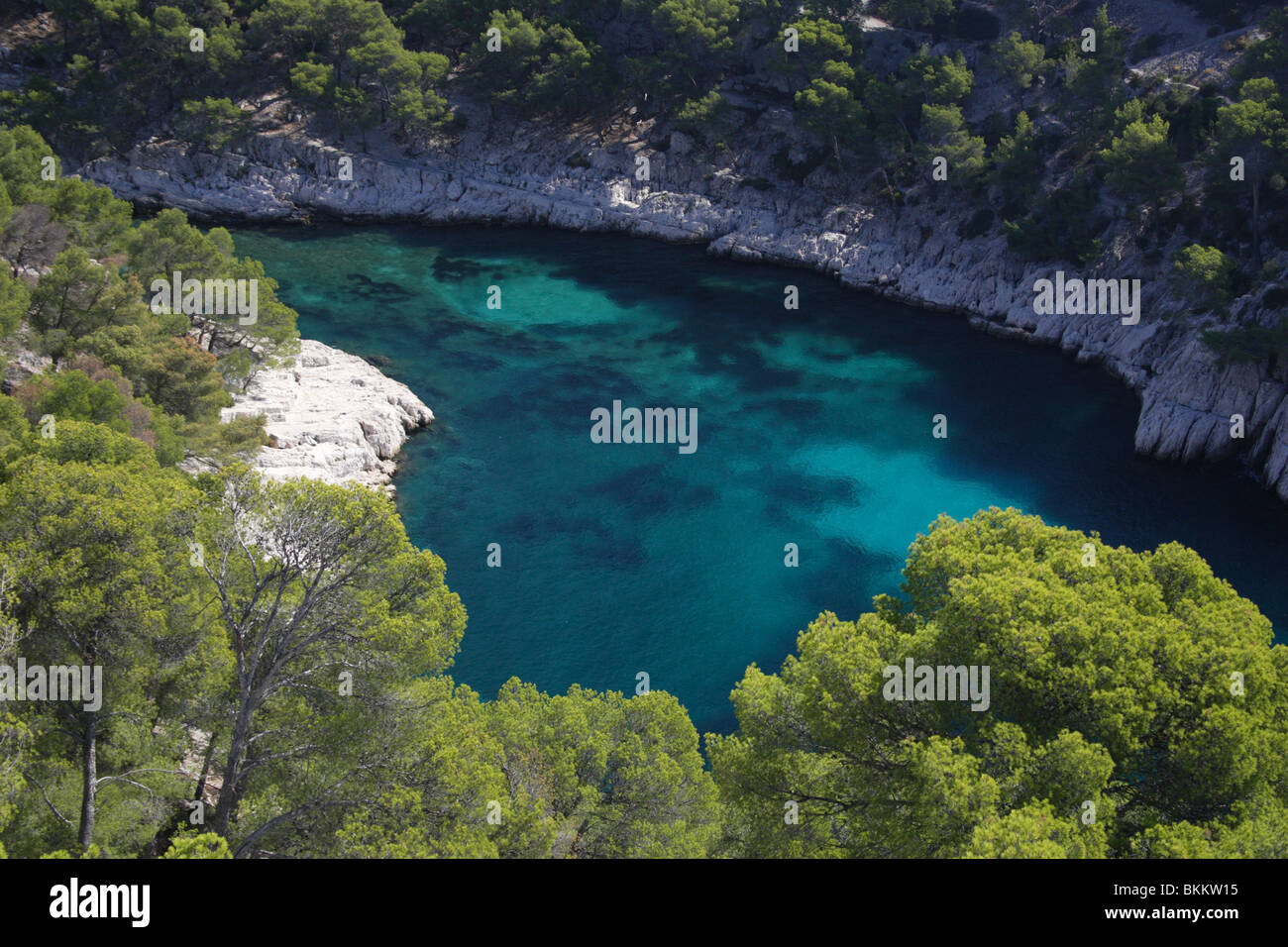 rockies inlet marseille pine tree cassis sea mediterranean provence ...