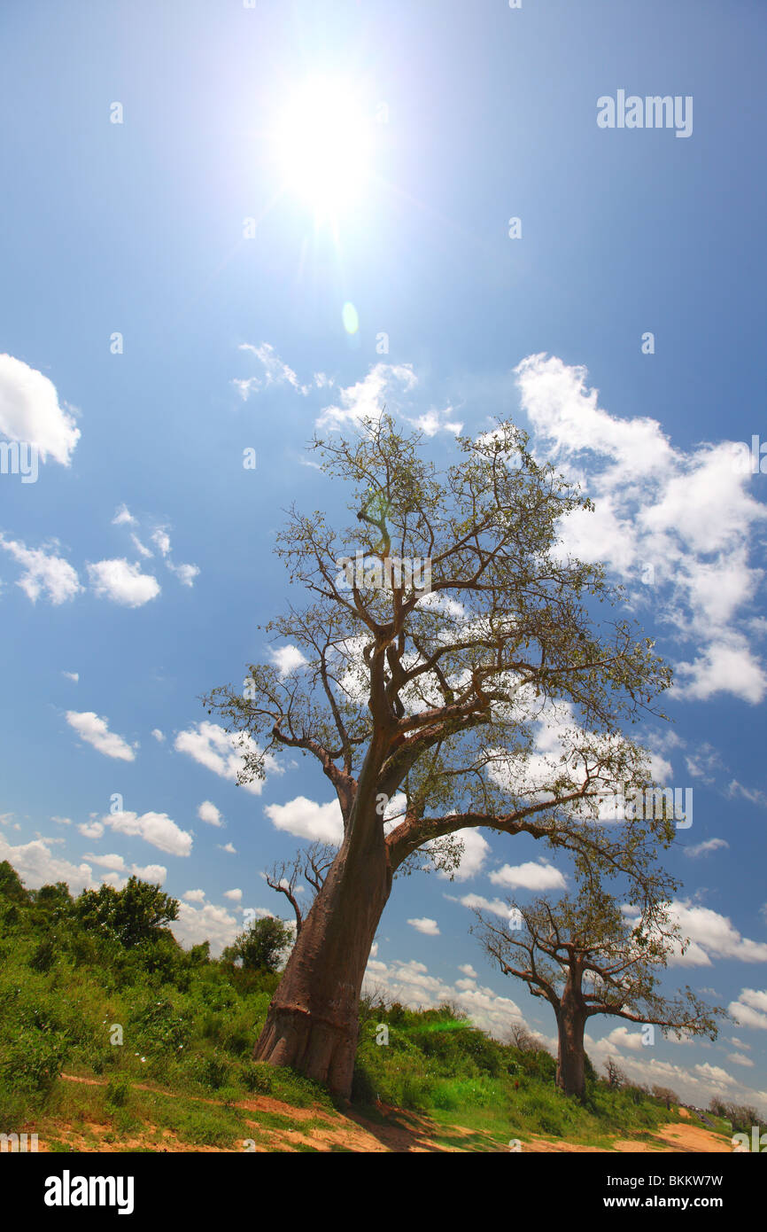 Mombasa highway hi-res stock photography and images - Alamy