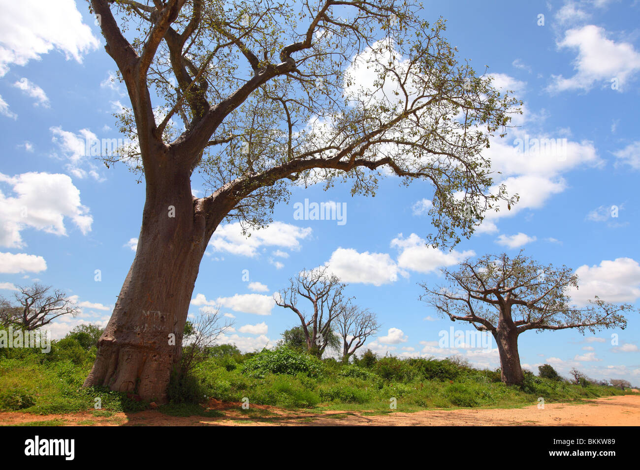 Nairobi mombasa highway hi-res stock photography and images - Alamy