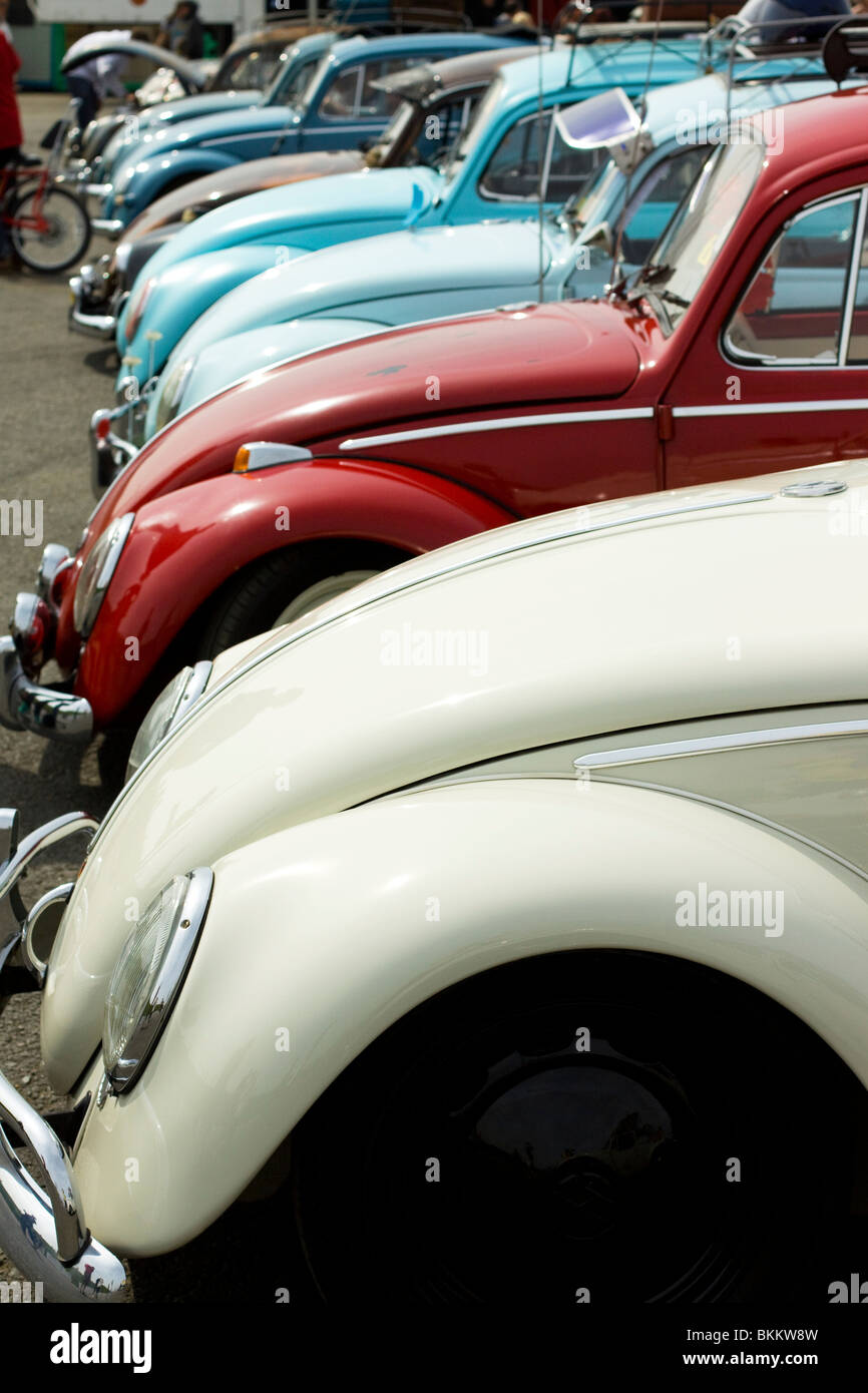 Volkswagen beetles hi-res stock photography and images - Alamy