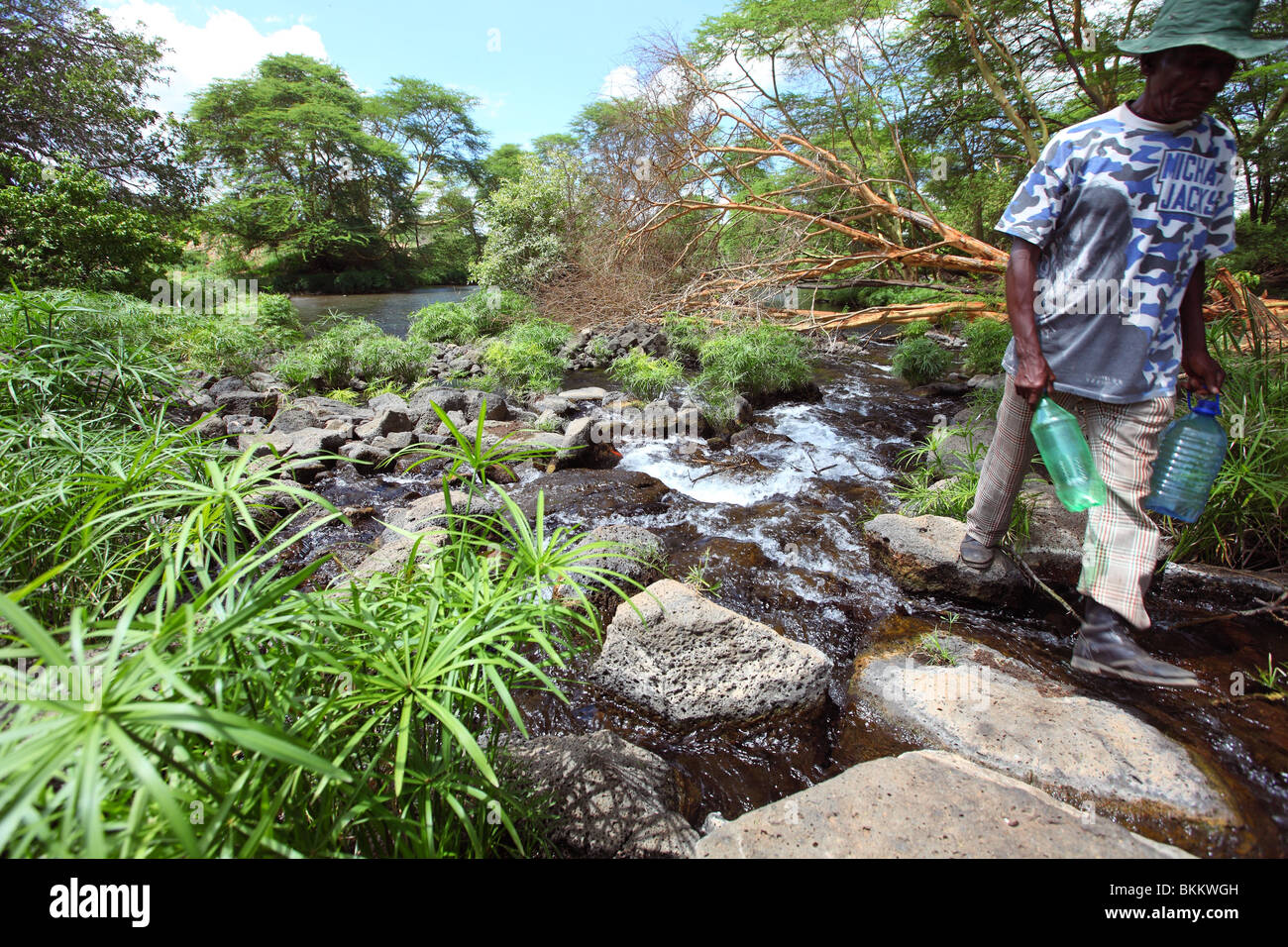 Kenya mzima springs hi-res stock photography and images - Alamy