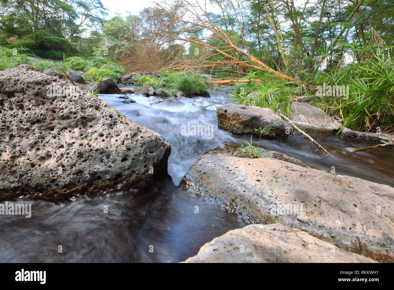 Mzima Springs Stock Photos & Mzima Springs Stock Images - Alamy