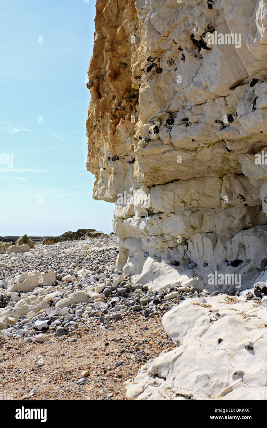Undercut chalk and flint cliff face at Seaford Head East Sussex England ...