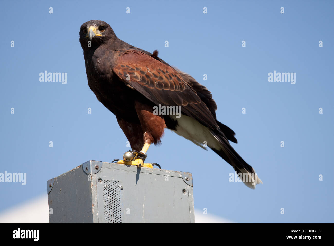 Sky blue box hi-res stock photography and images - Alamy