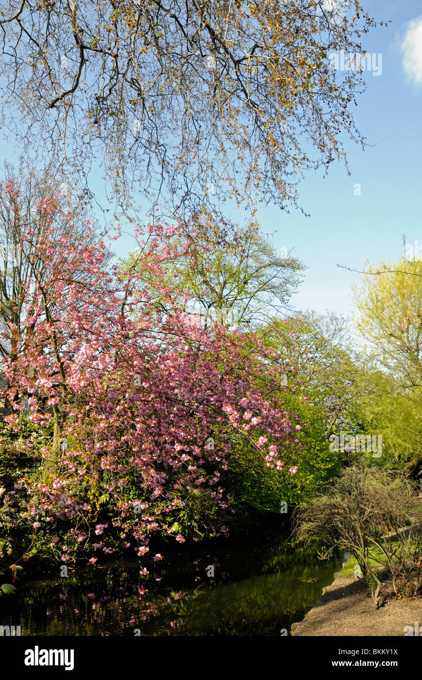 New River Walk Canonbury Islington London England UK Stock Photo - Alamy