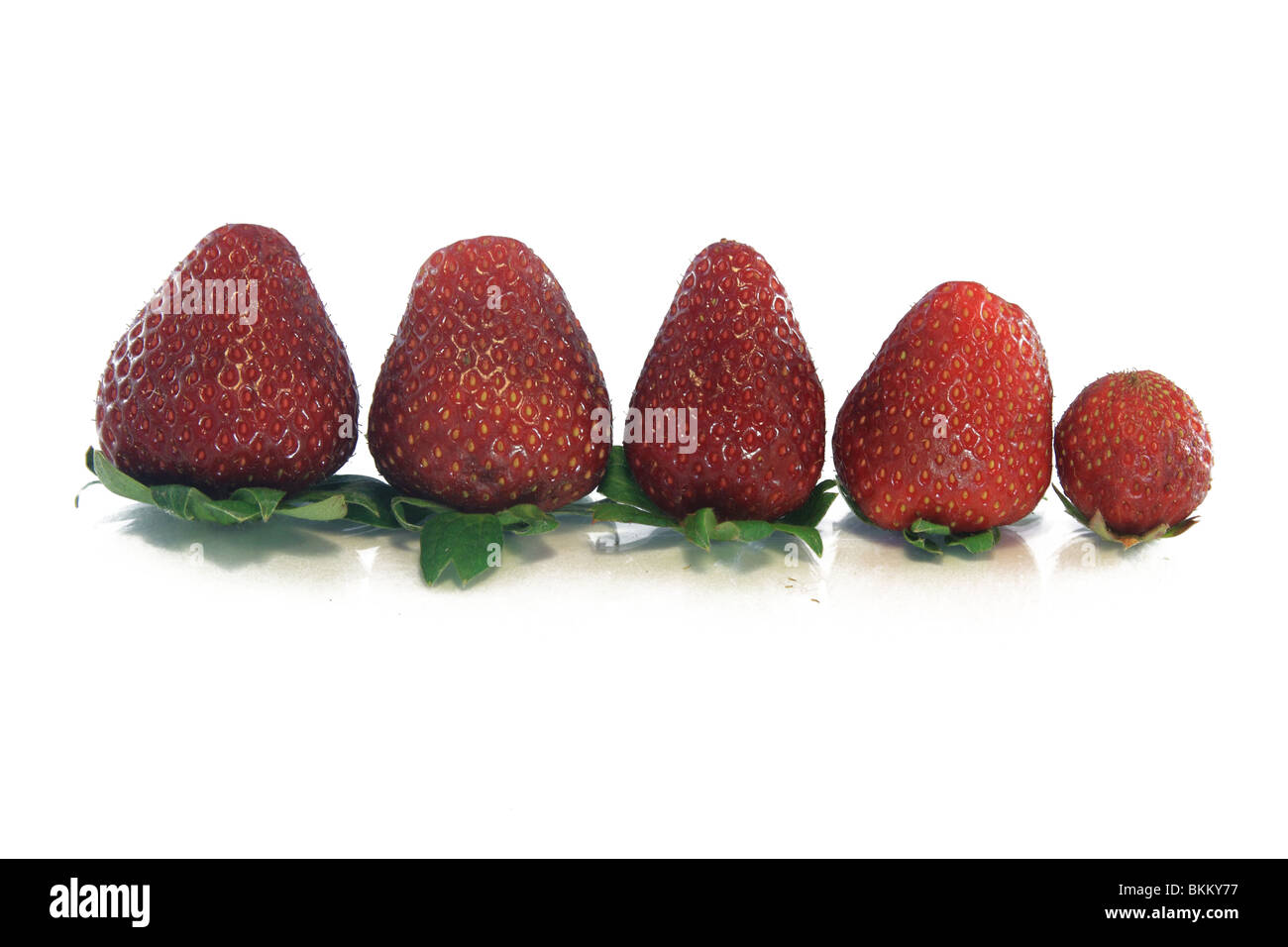 line of strawberry with all size Stock Photo - Alamy