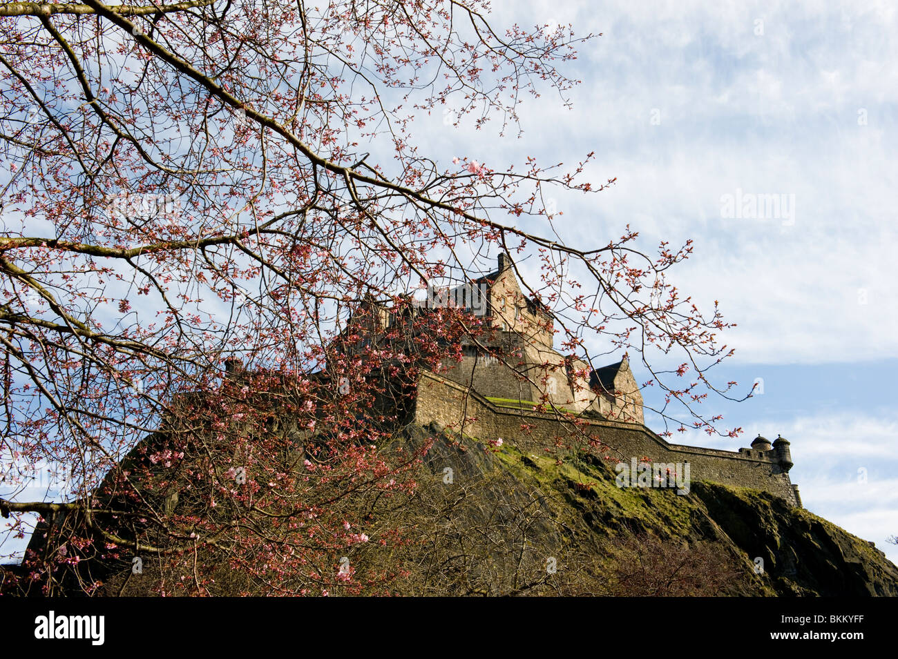 Edinburgh Castle in spring sunshine Stock Photo - Alamy