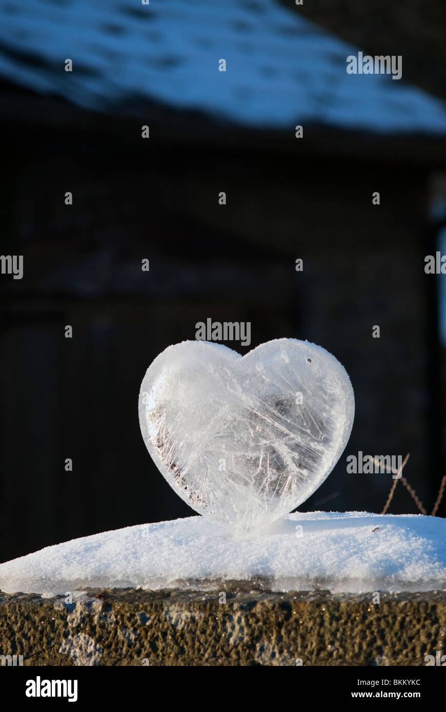A translucent block of ice frozen in the shape of a heart sitting on a ...