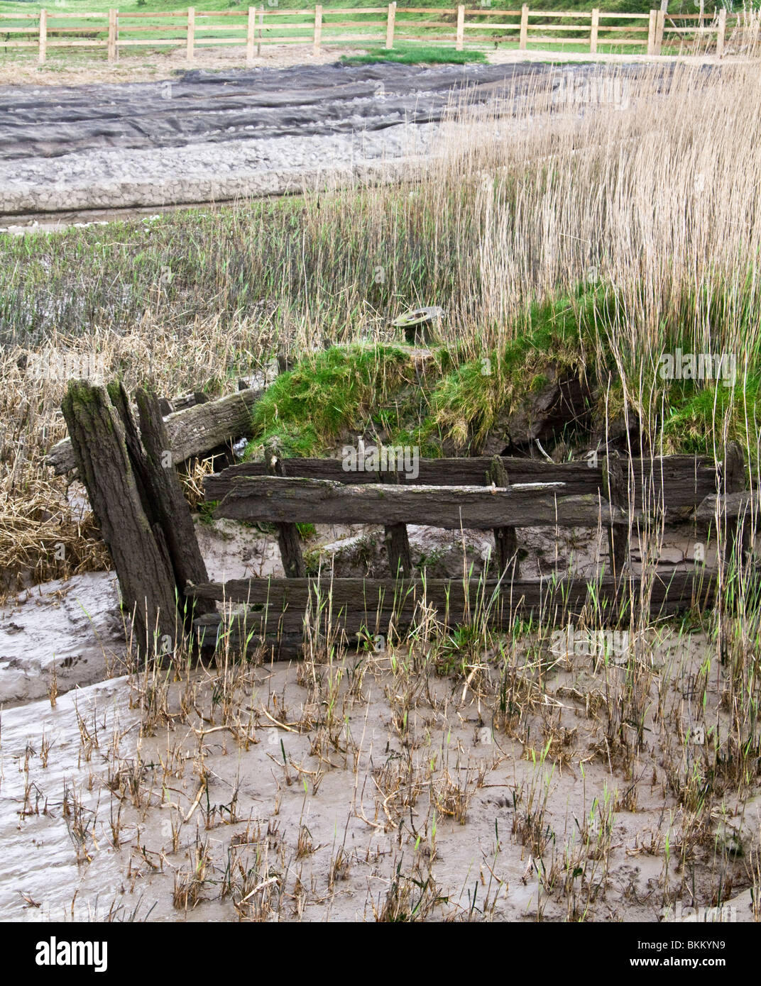 Rusted hulks hi-res stock photography and images - Alamy
