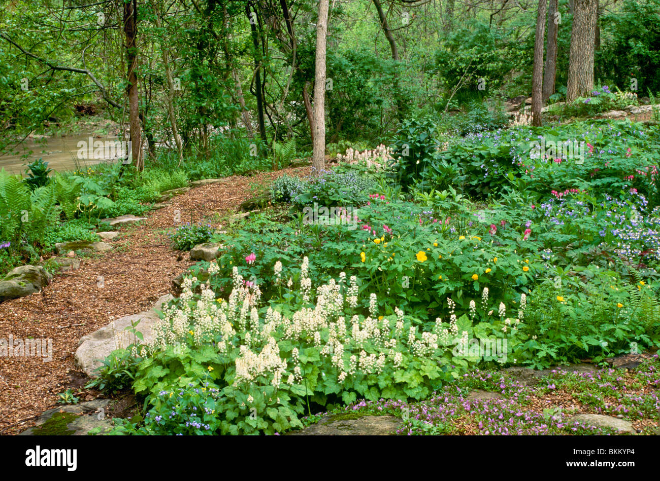 Shade garden path along stream made of mulch and quarry stones with ...