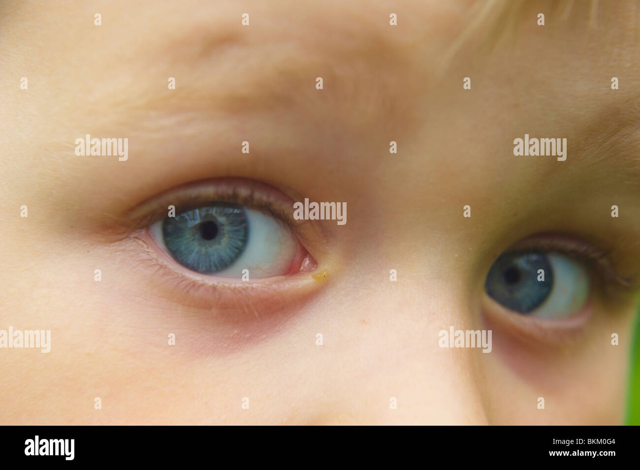 Close up of child boy blue eye Stock Photo - Alamy
