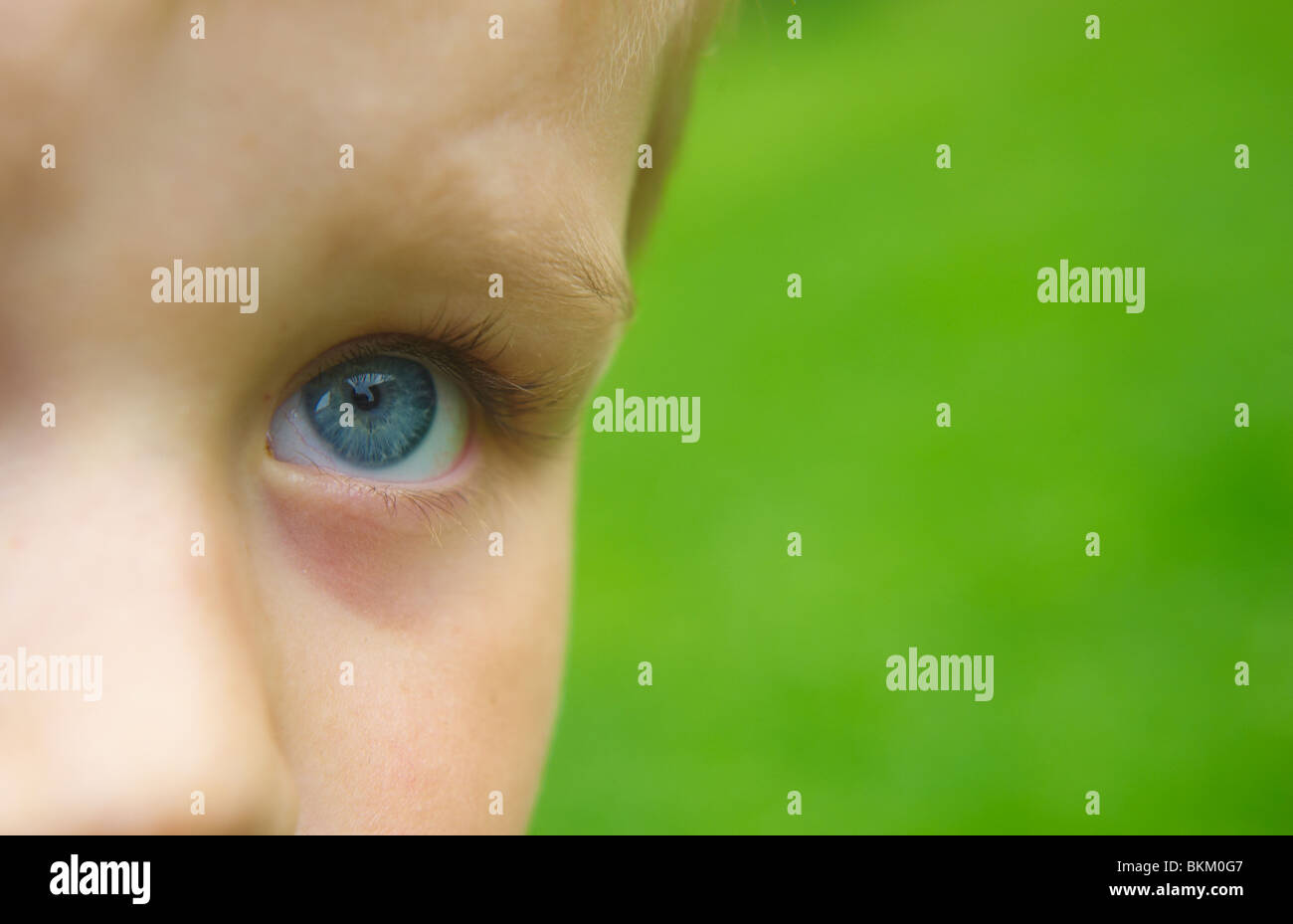 Close up of child boy blue eye Stock Photo - Alamy