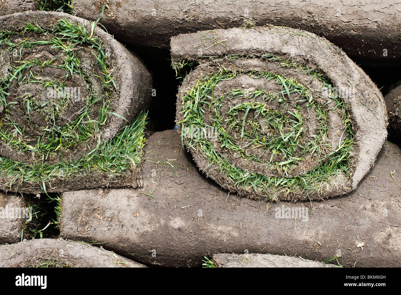Rolled turf ready for laying Brookfields Garden Centre Stock Photo - Alamy