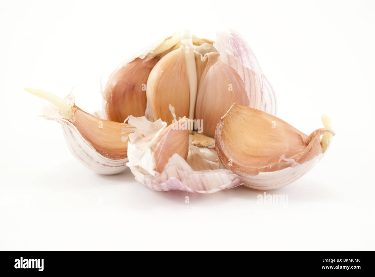 Open fresh heads hi-res stock photography and images - Alamy