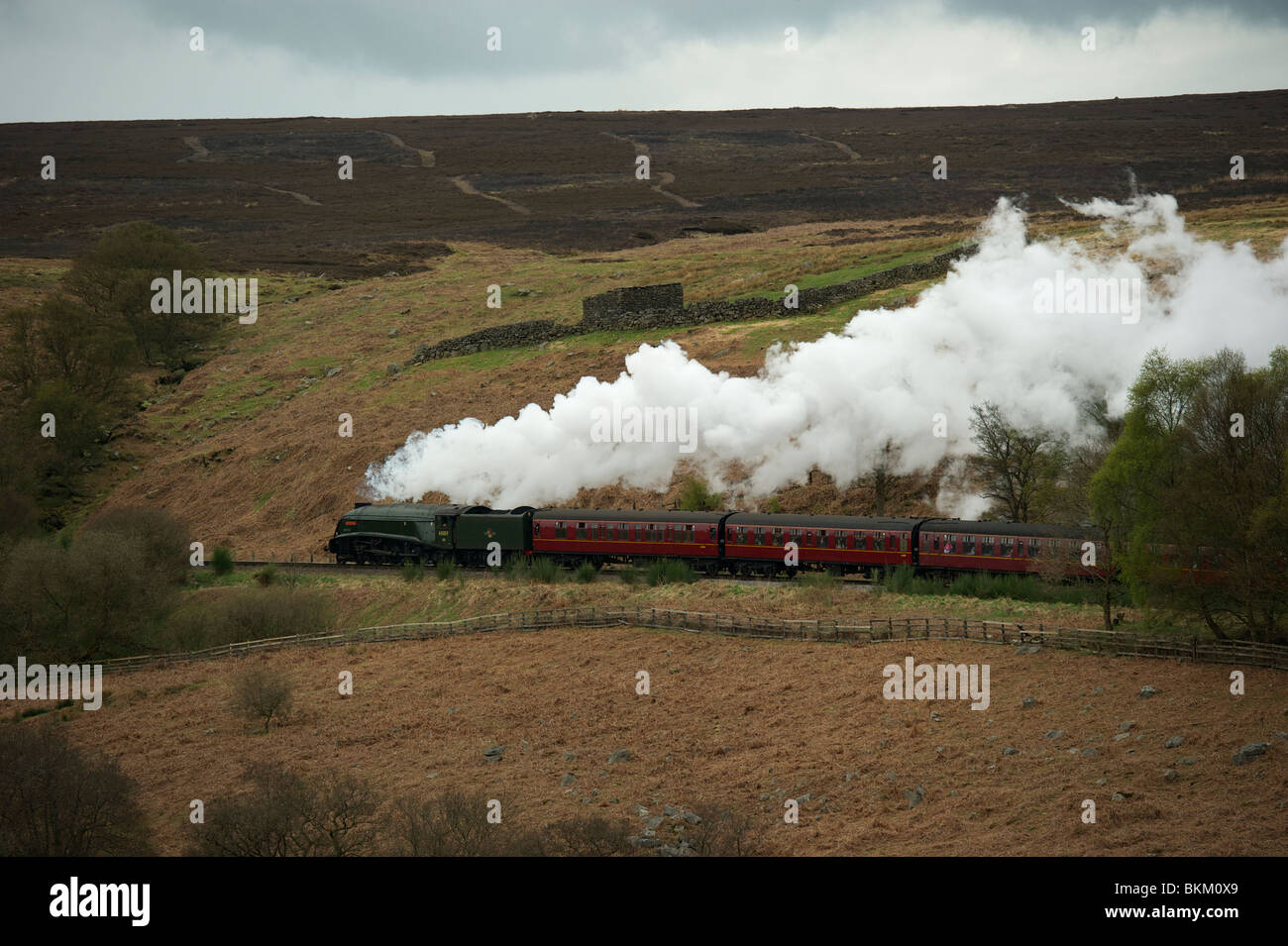 Steam engine York UK Europe Stock Photo - Alamy