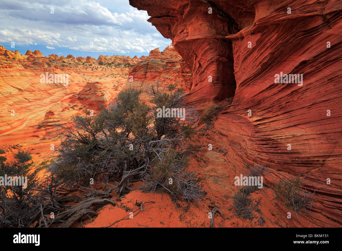 Vermilion clouds hi-res stock photography and images - Alamy