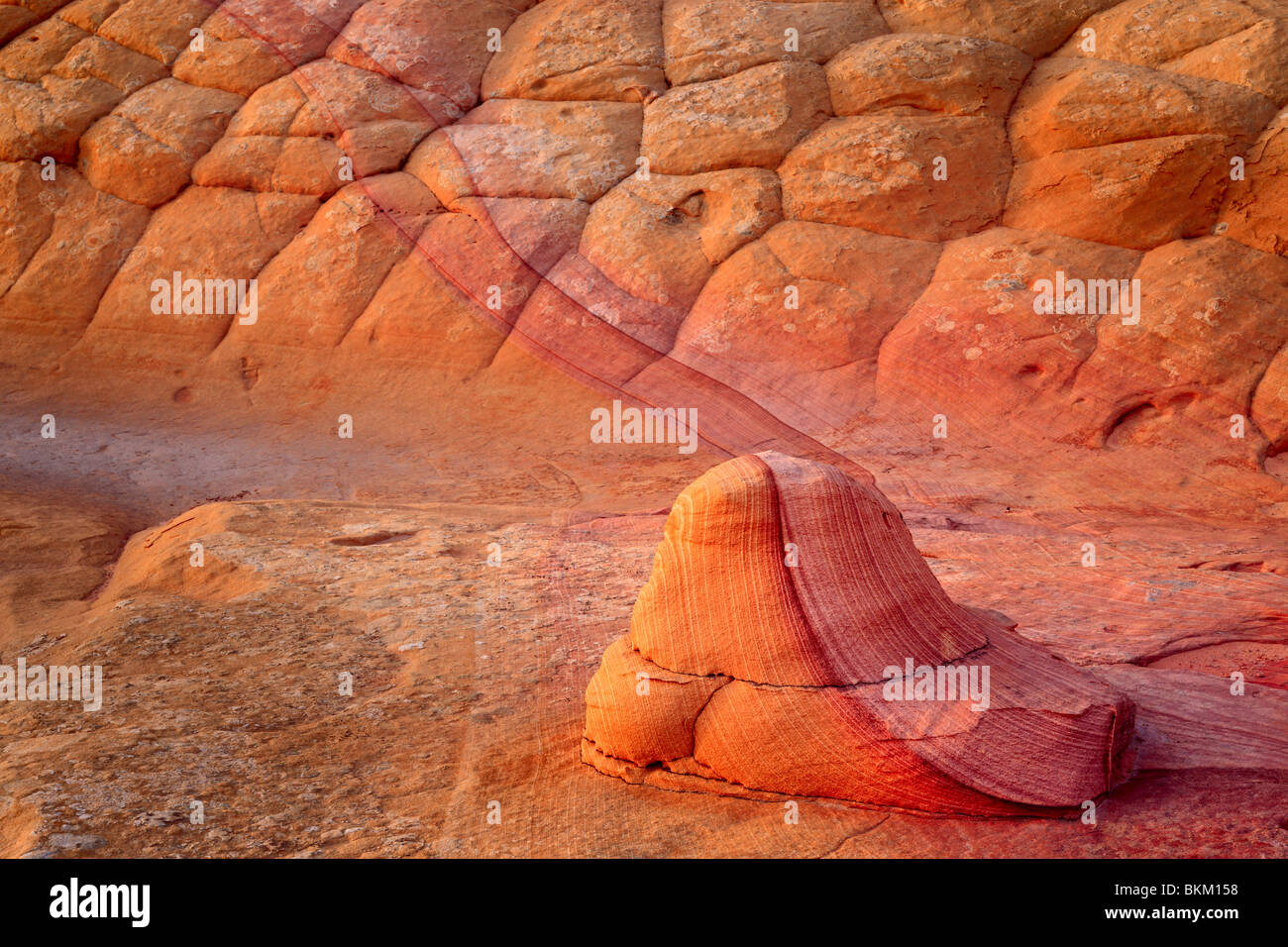 Striation texture hi-res stock photography and images - Alamy