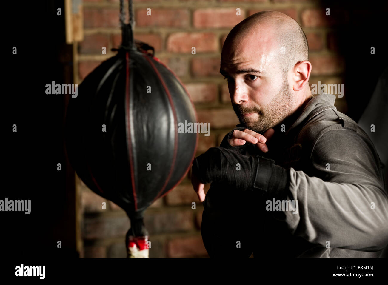 Boxer training at a boxing gym Stock Photo - Alamy