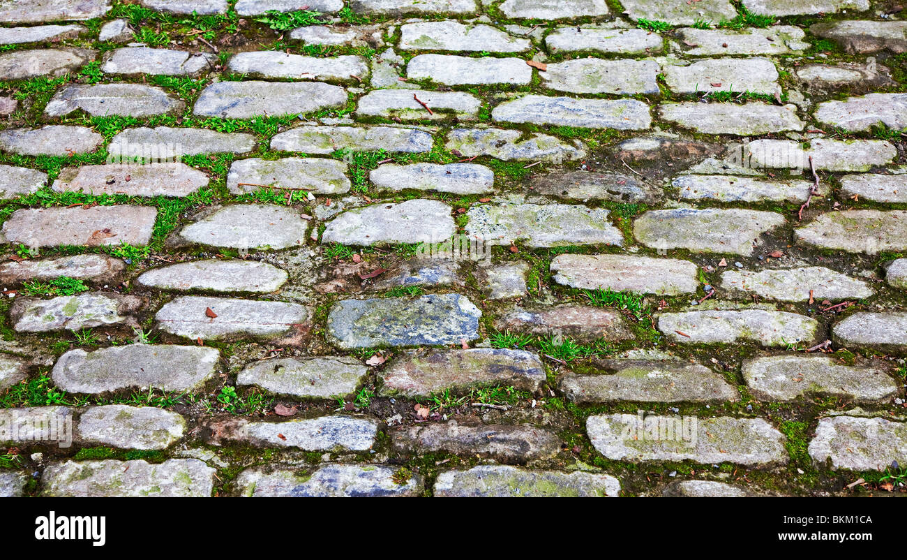 cobblestone street in tourist area Stock Photo - Alamy