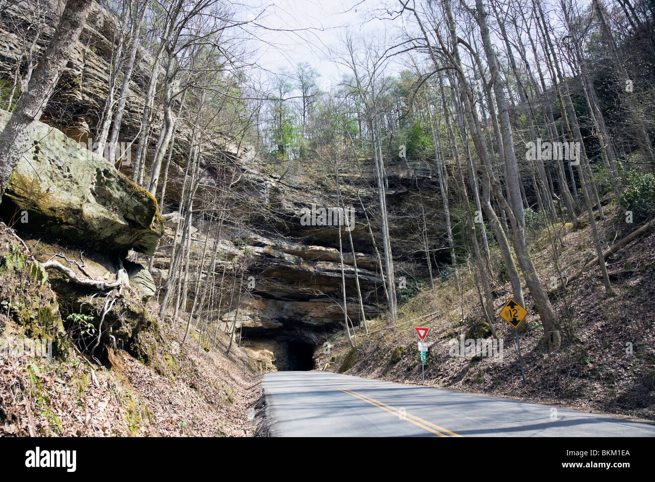 Tunnel in Red River Gorge State Park Stock Photo - Alamy