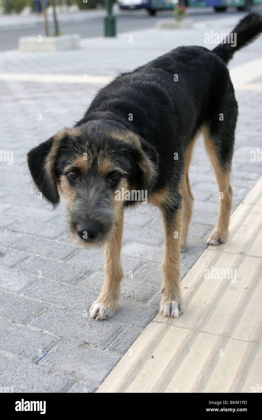 001 007 hi-res stock photography and images - Alamy