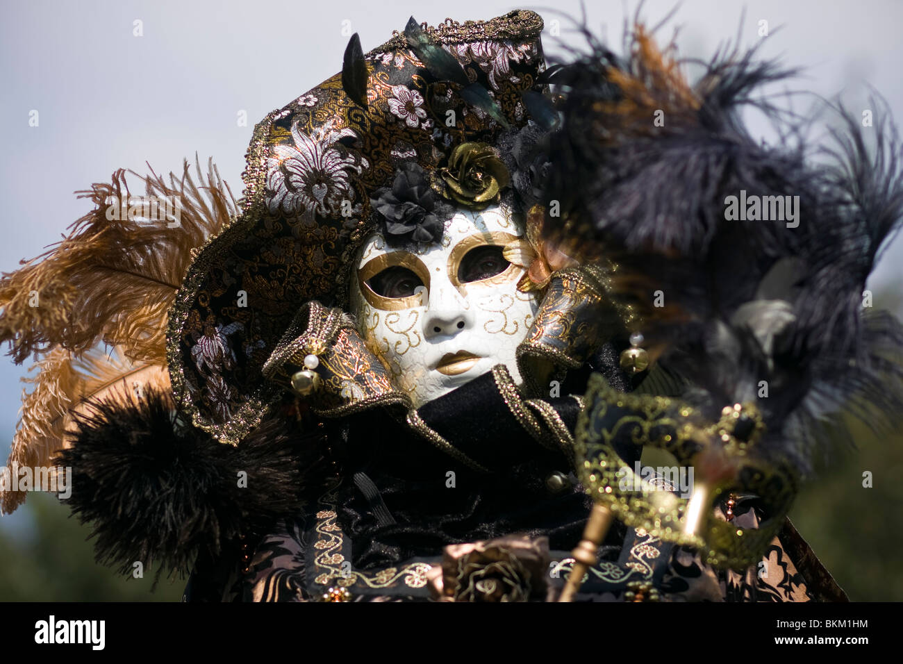 Performers in costume gathered for a Venetian carnival parade Stock ...
