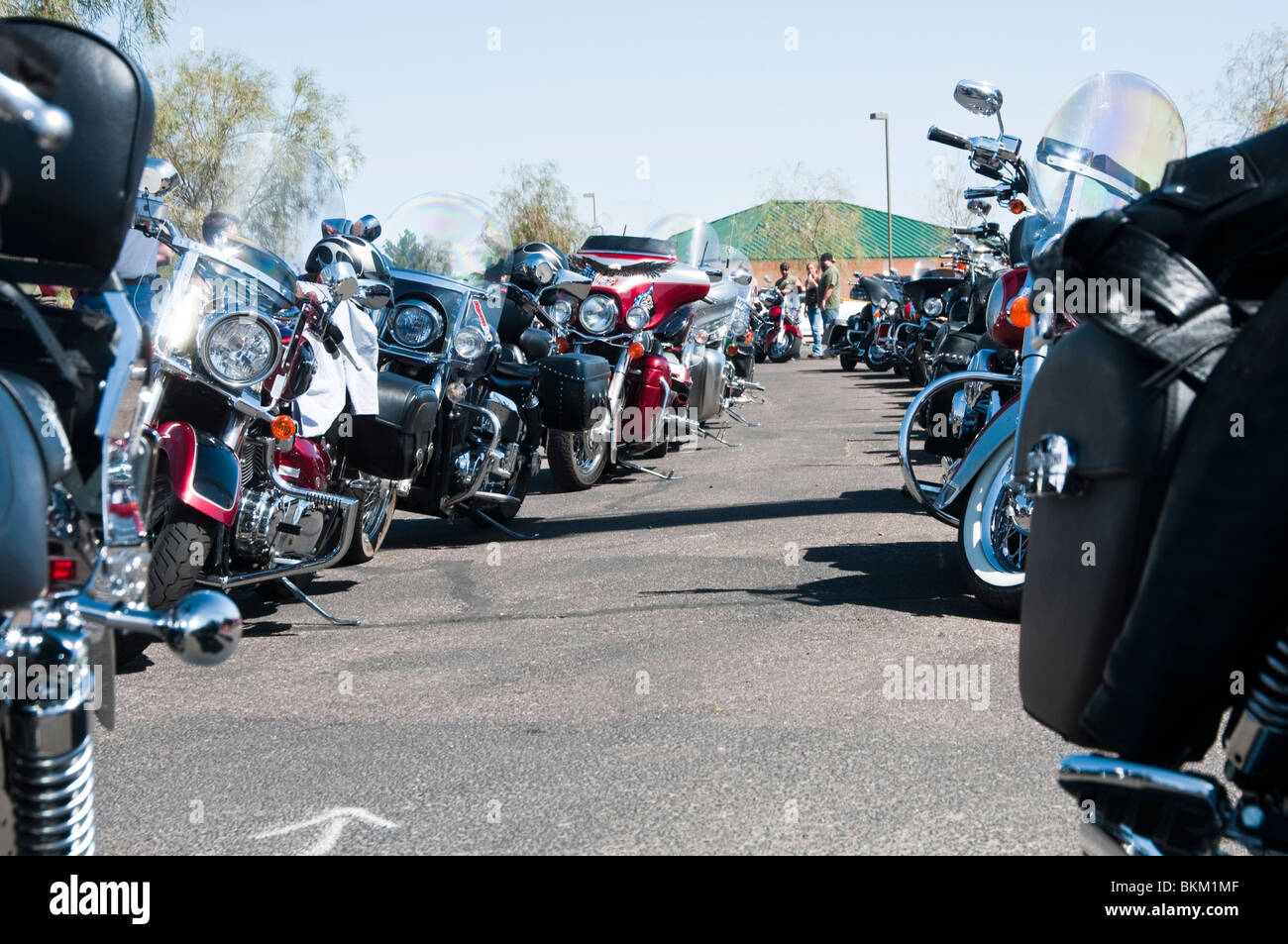 Run cycle hi-res stock photography and images - Alamy