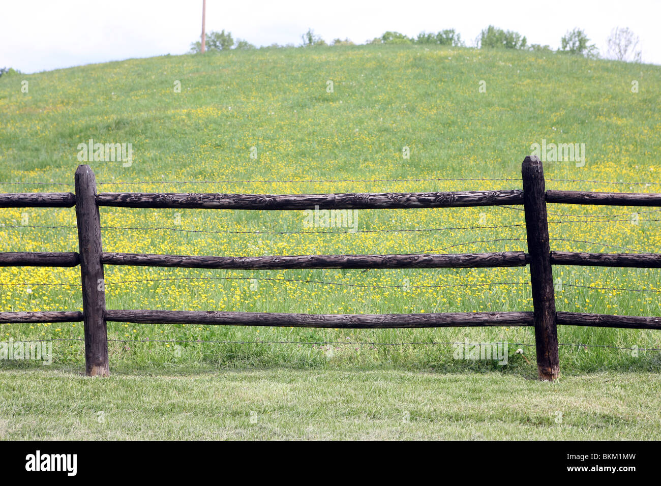 Fences and trees hi-res stock photography and images - Alamy