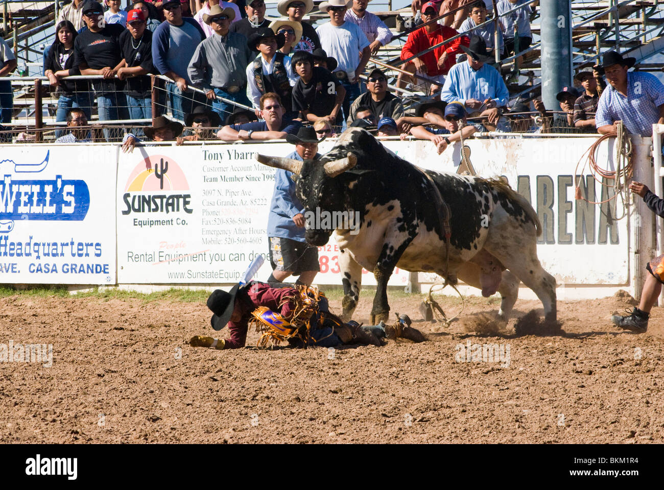 a cowboy competes in the bull riding event during the O'Odham Tash all ...