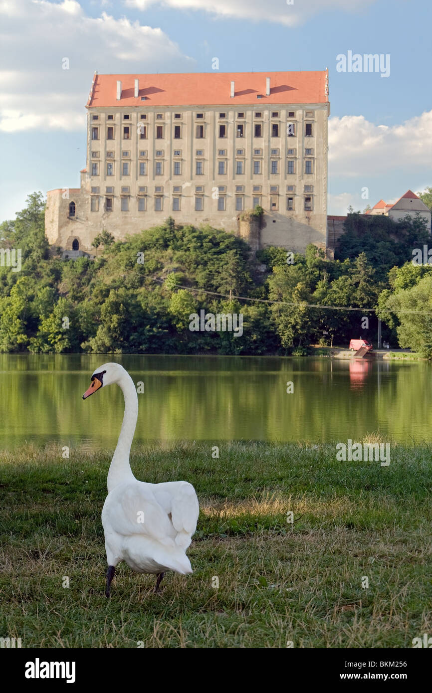 swan and castle Stock Photo - Alamy
