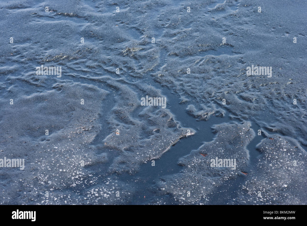 Ice on a bog pool Stock Photo - Alamy