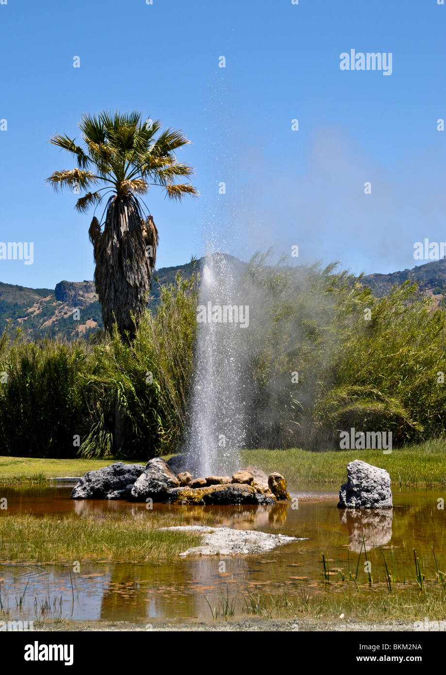 Old Faithful Geyser erupt regularly every 30 min. spraying scalding ...