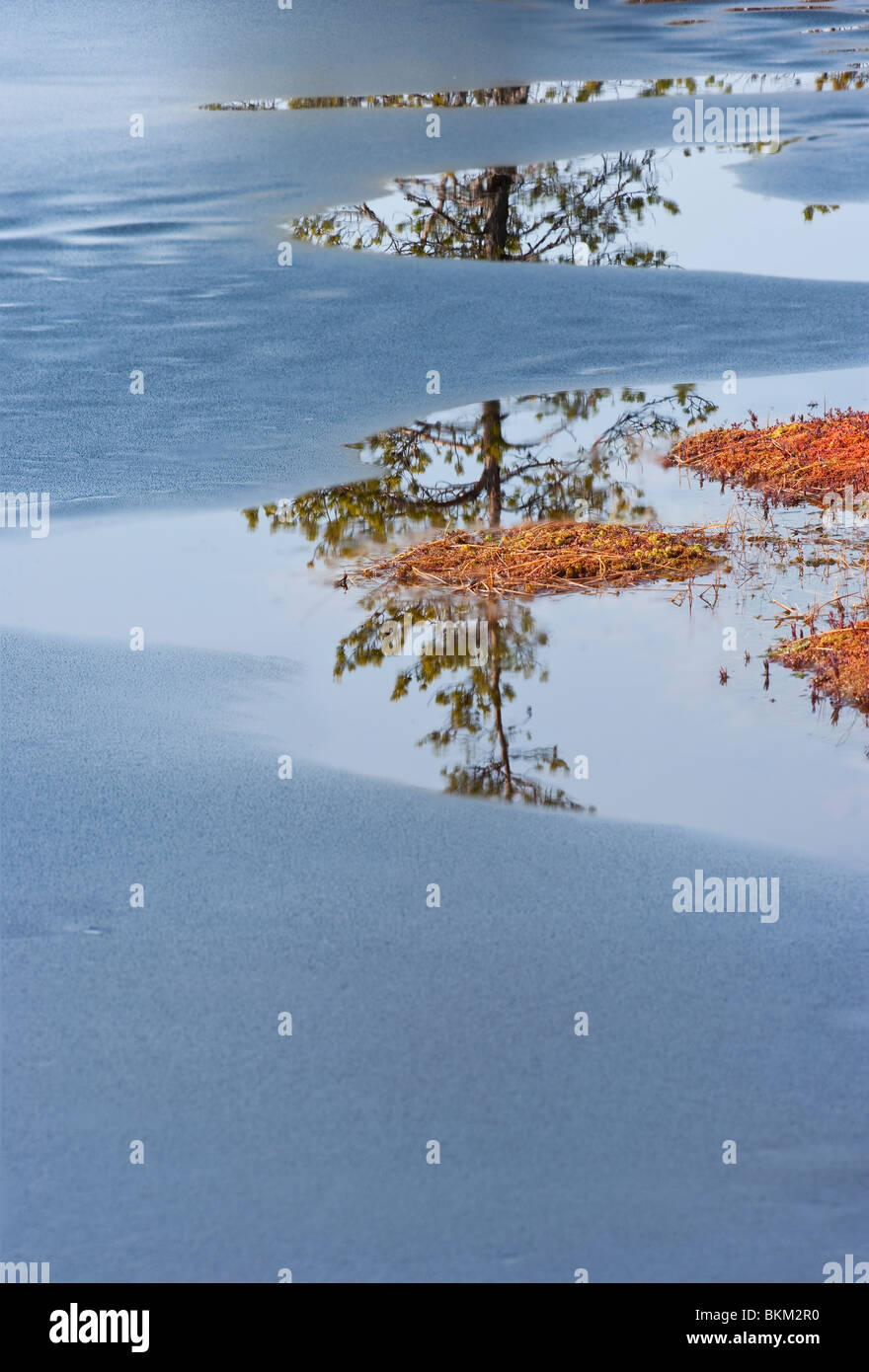 Tranquil ice hi-res stock photography and images - Alamy