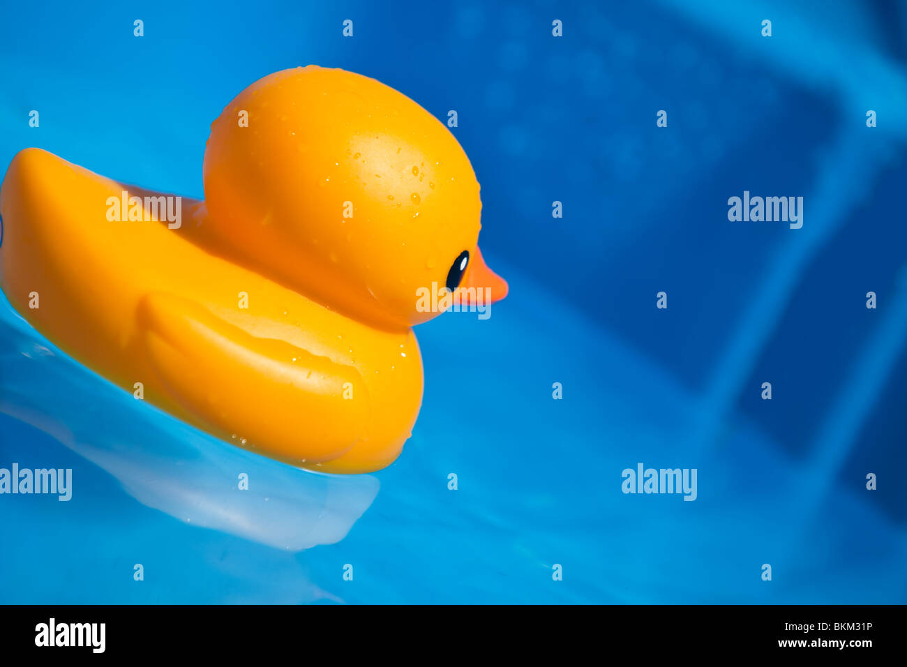 Yellow rubber duck floating on blue water in the sunlight Stock Photo ...