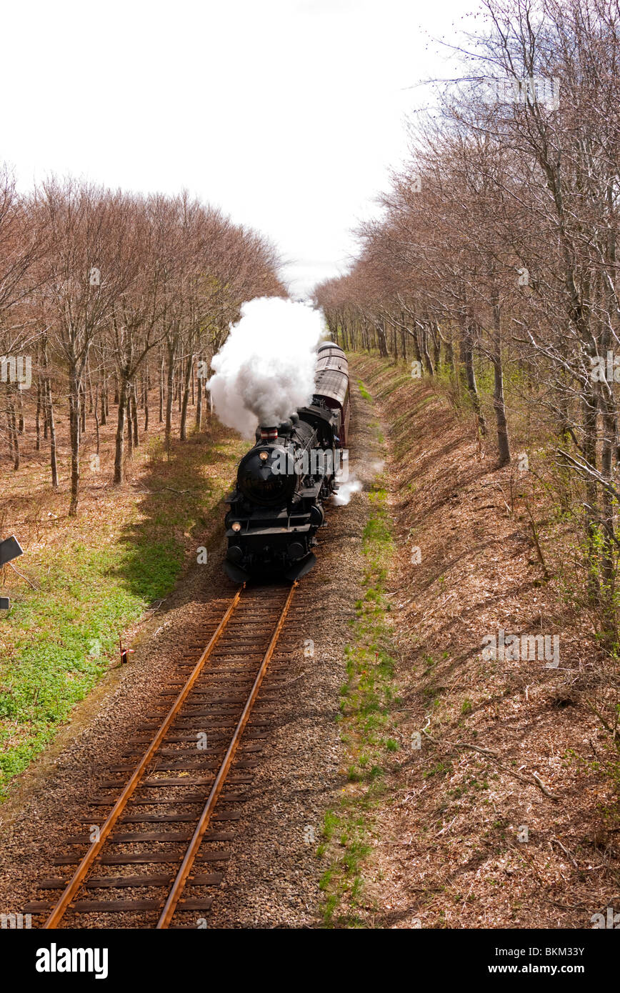 Danish 911 steam locomotive under way in museum ride on may 1, 2010 ...